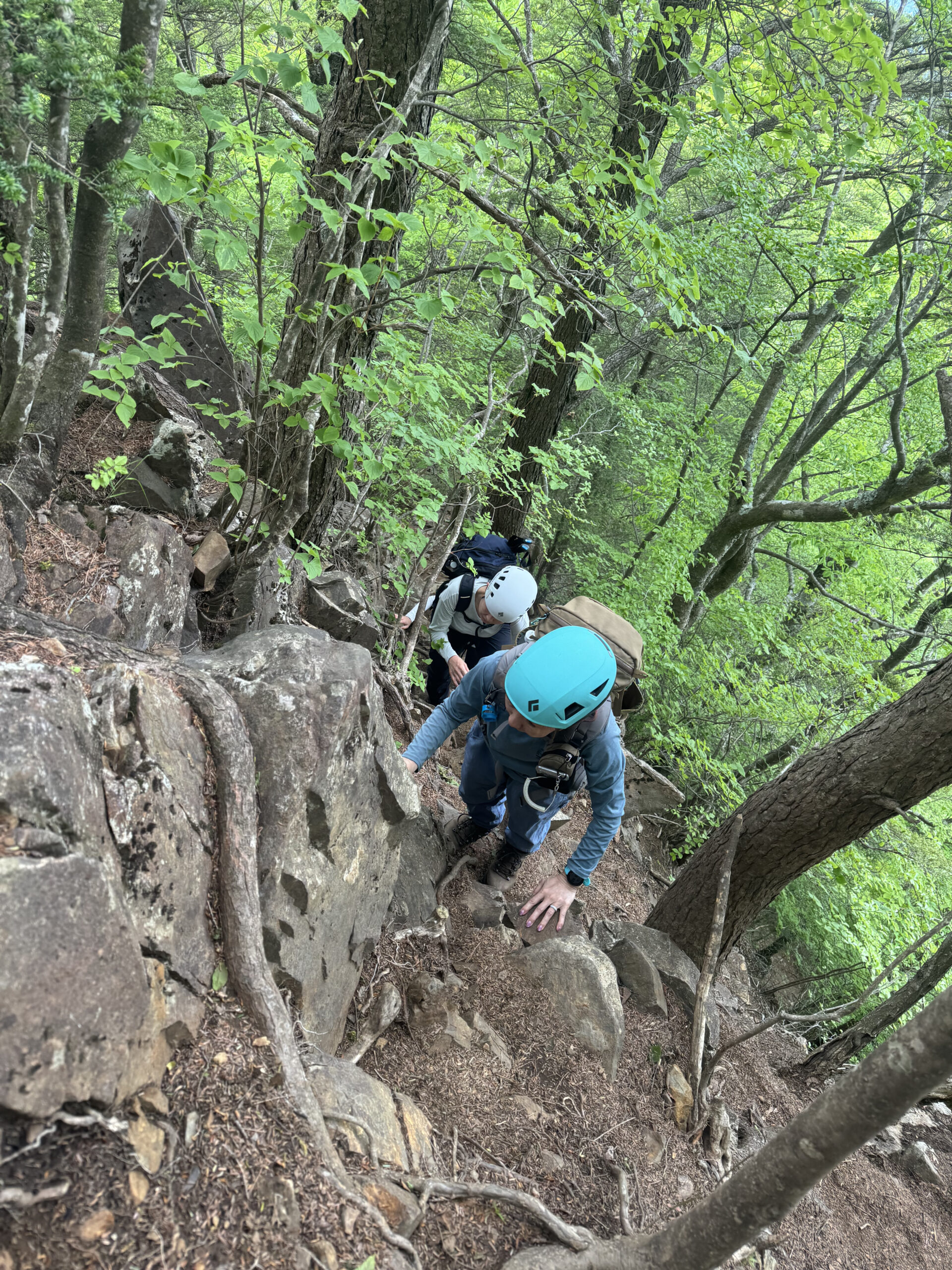 リクエスト企画！催行決定！「滝子山・寂悄尾根」に行きませんか？ | Mountain Vita